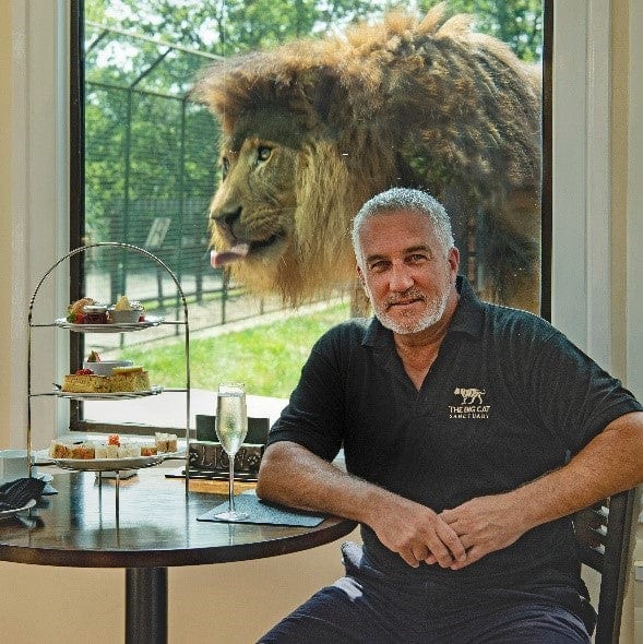 Paul Hollywood Created Afternoon Tea at The Big Cat Sanctuary ...